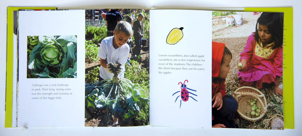 It’s Our Garden: From Seeds to Harvest in a School Garden | George ...