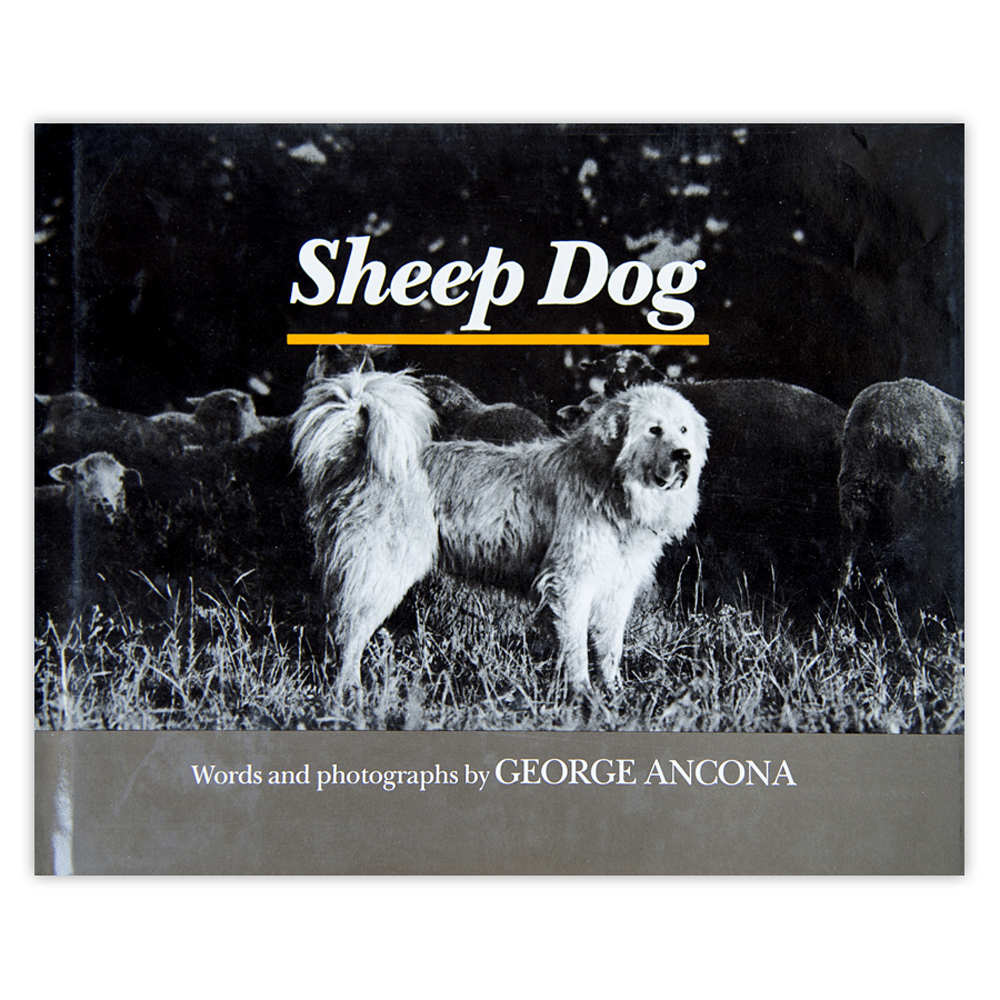 Sheep Dog | George Ancona | Children's Books